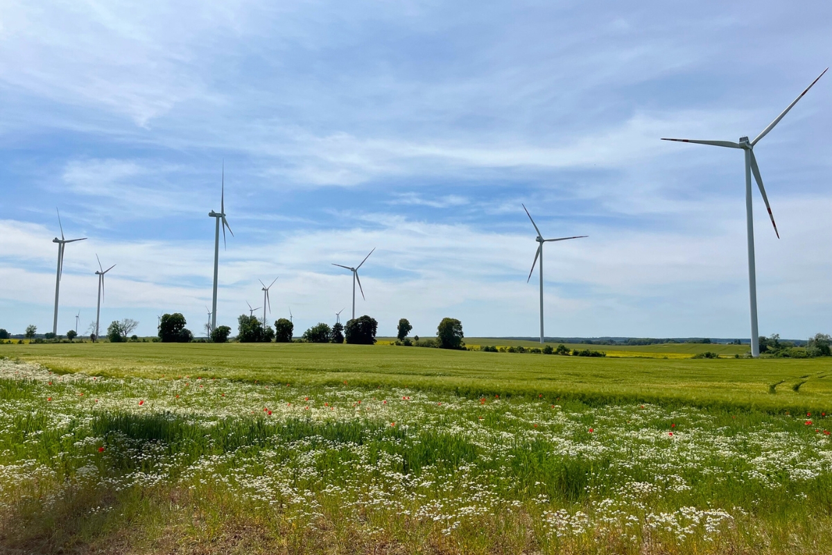 Izraelska Energix Group ma największą farmę wiatrową w Polsce - Cleaner ...